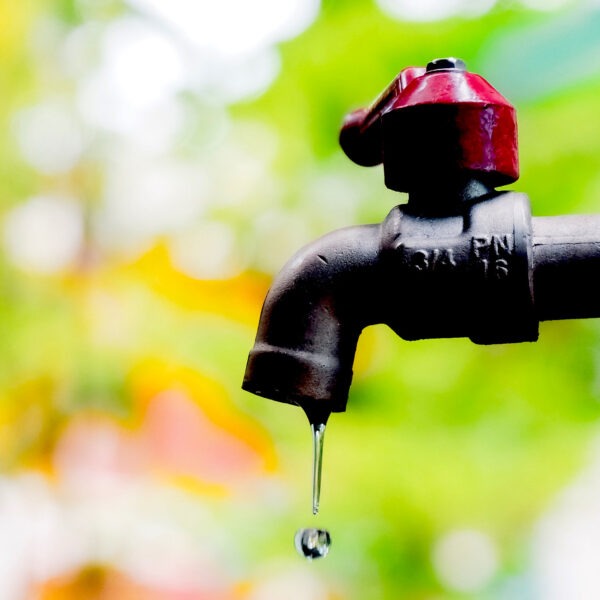 Why Does My Toilet Fill Up with Water When I Flush It? - Liberty Plumbing